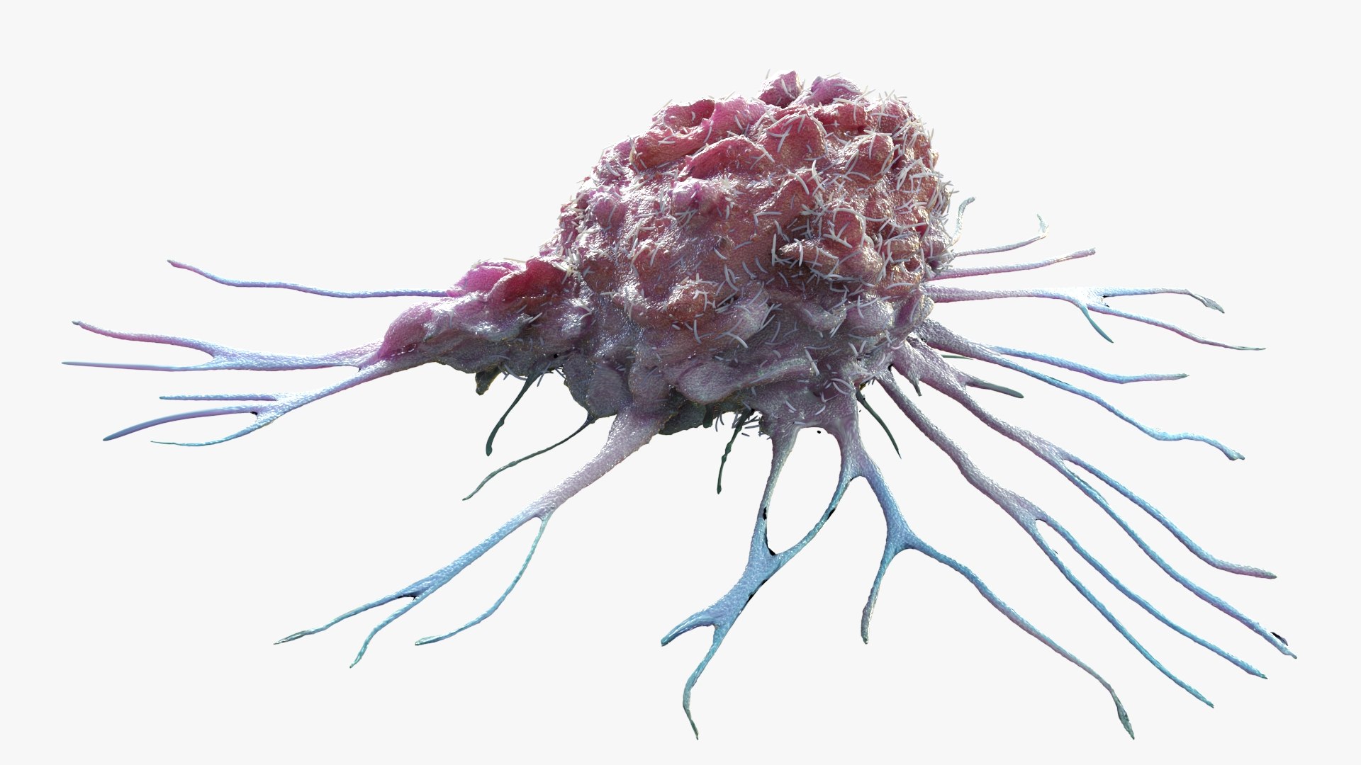 3D Cancer Cell - TurboSquid 2252500