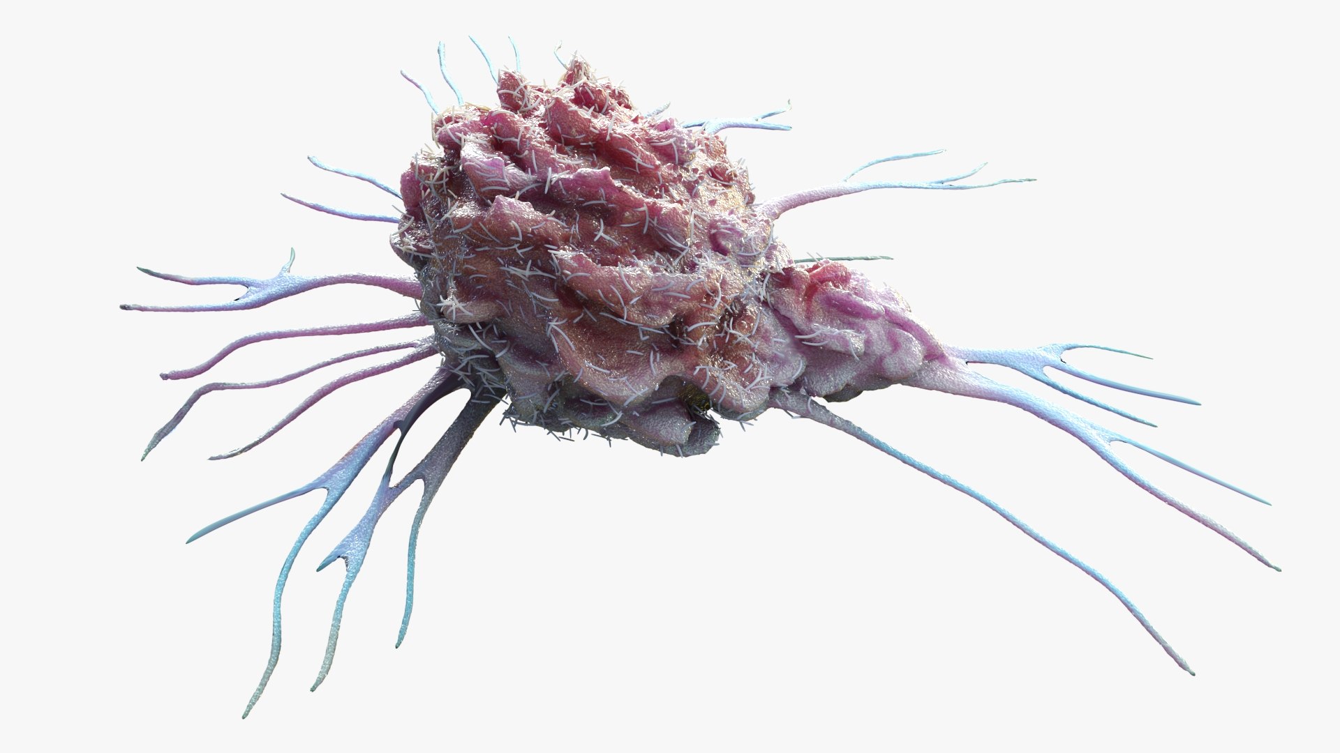 3D Cancer Cell - TurboSquid 2252500