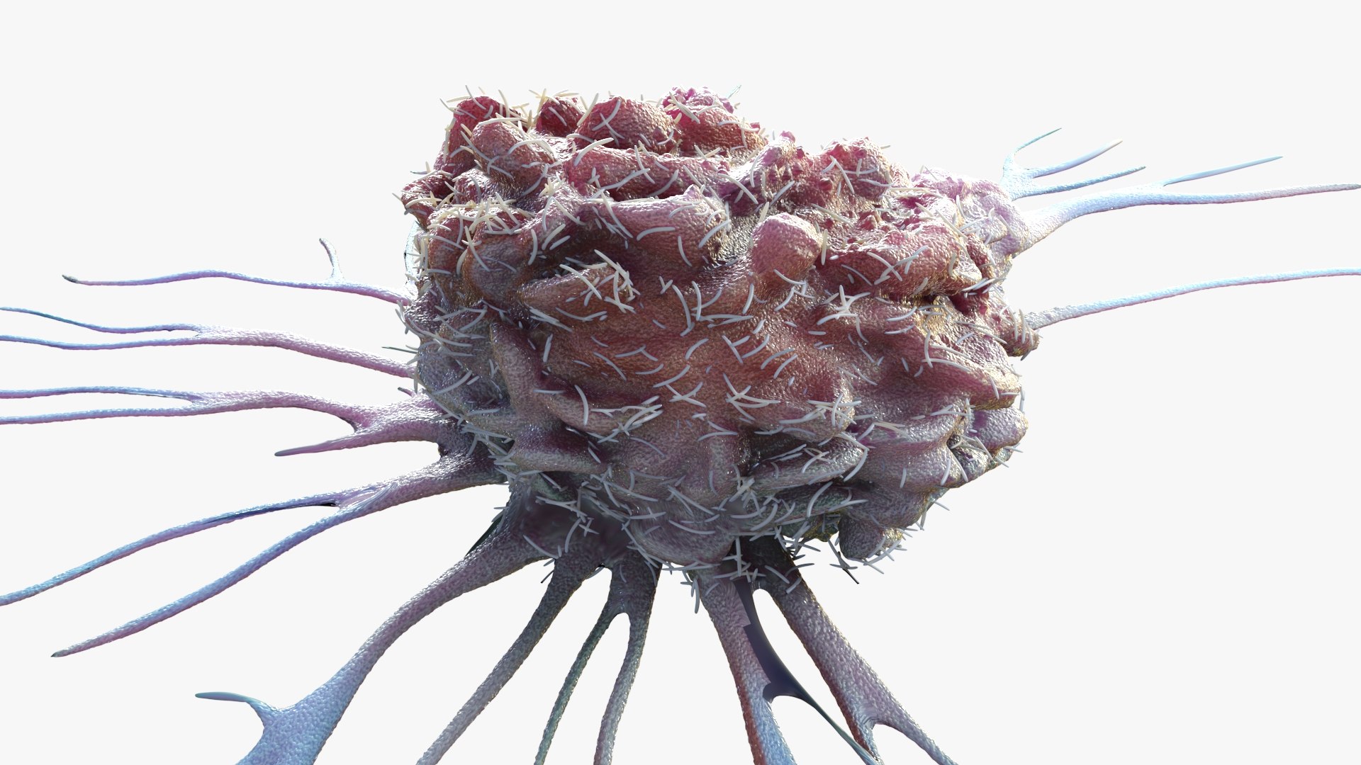 3D Cancer Cell - TurboSquid 2252500