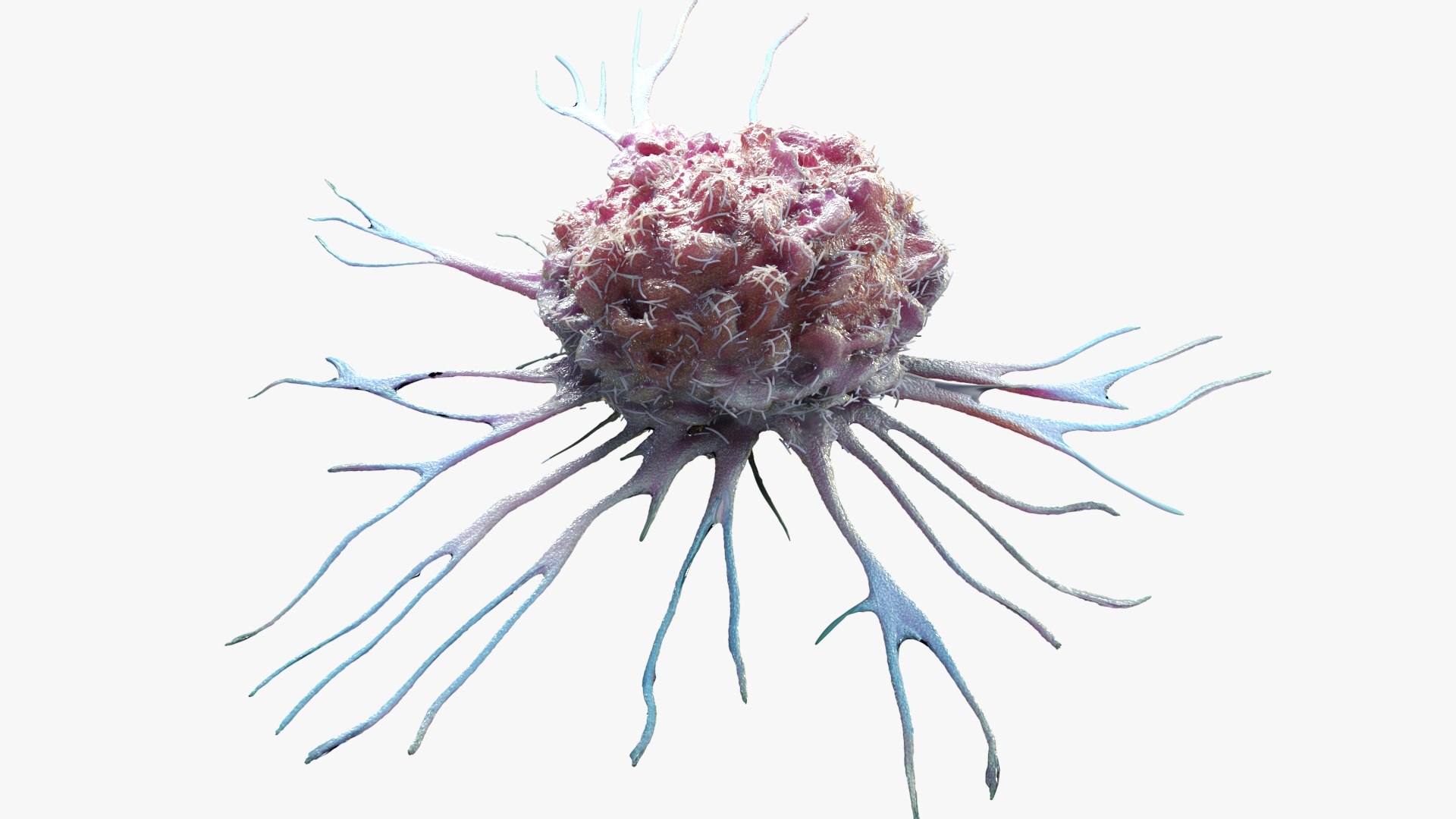 3D Cancer Cell - TurboSquid 2252500