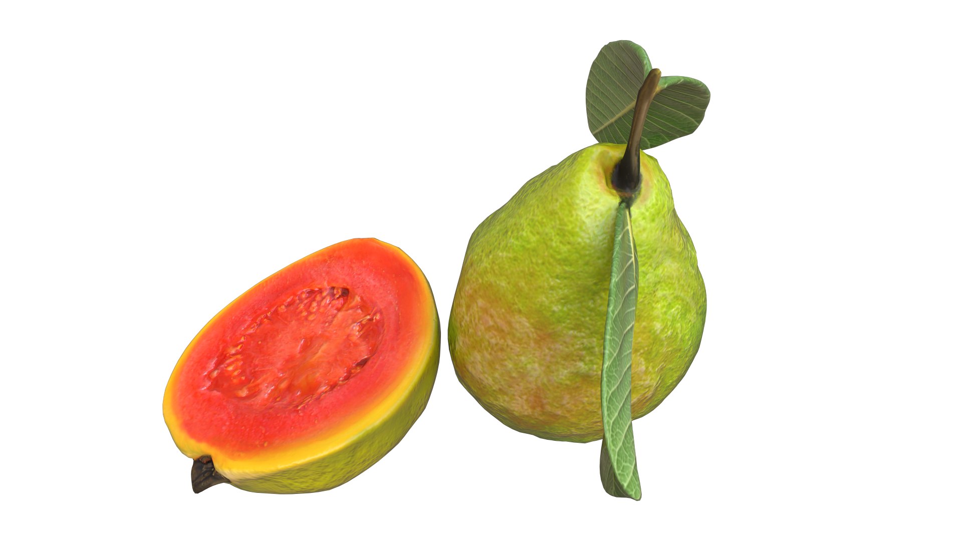 Green Guava Model - TurboSquid 2380271