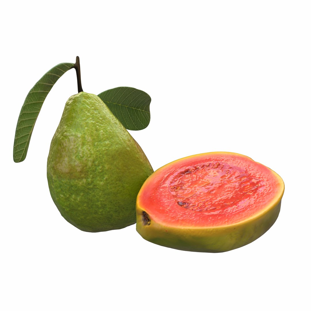 Green Guava Model - TurboSquid 2380271