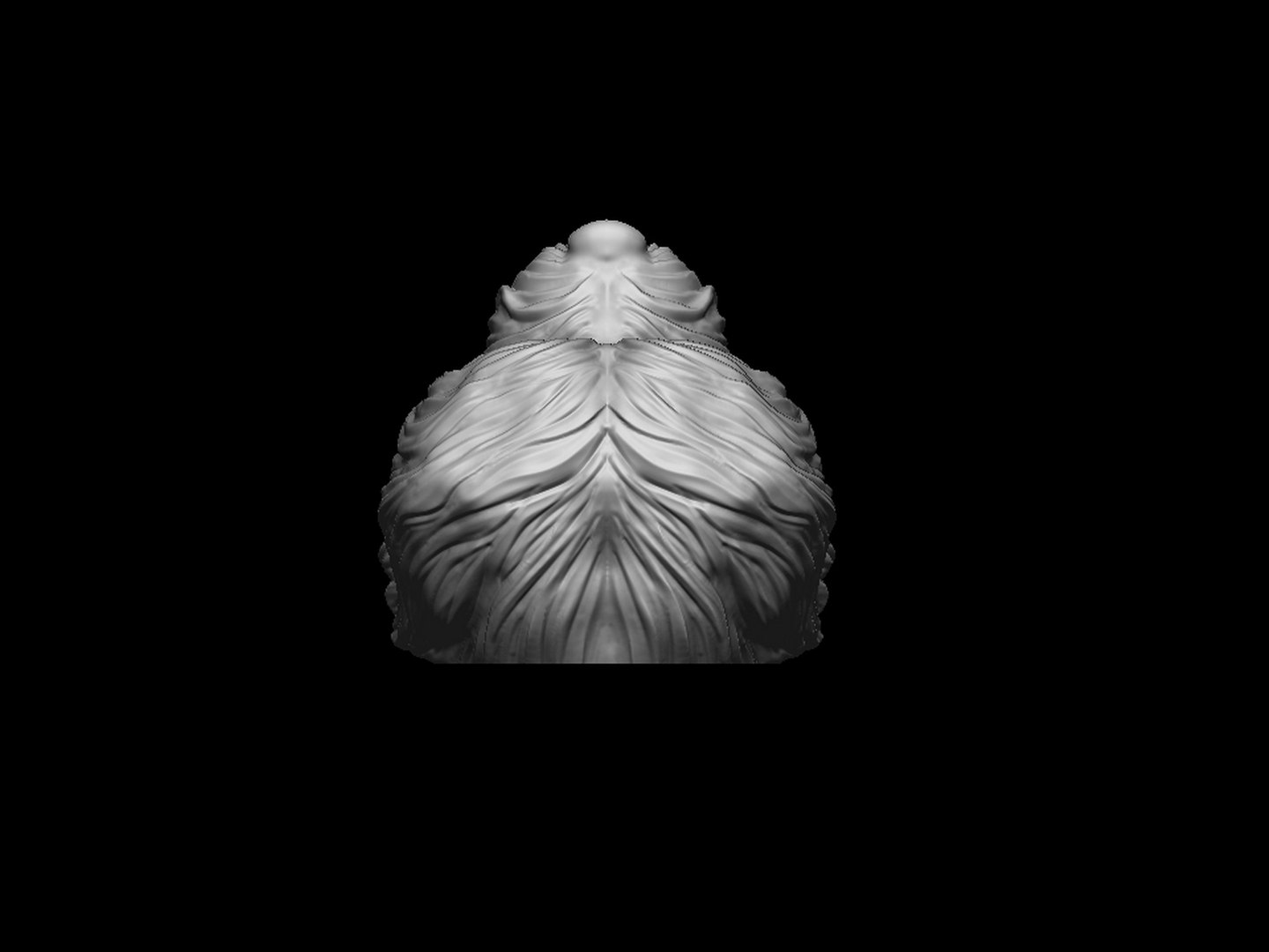 Havanese Dog Head Pendant 3d Print Model 3D Print Model Model ...