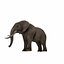 3d Elephant