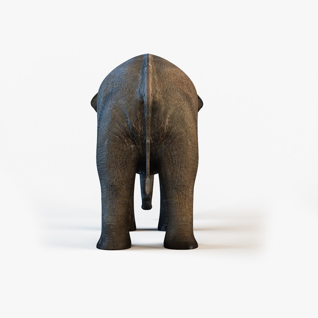 3d Elephant