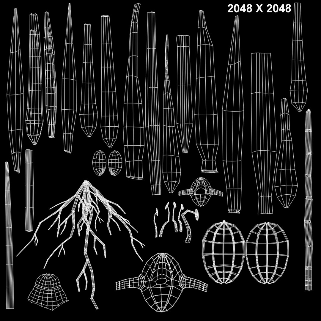 3d Model Fibrous Root