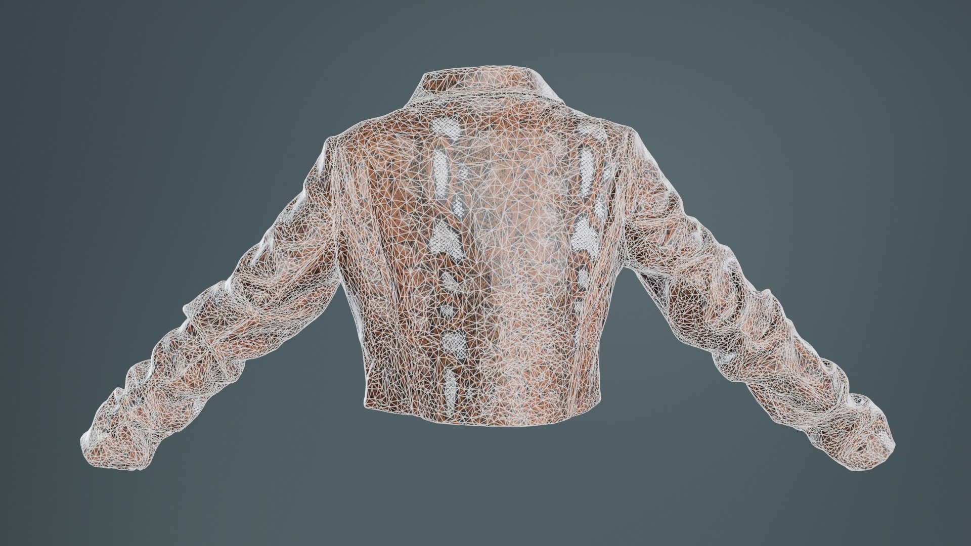 3D Brown Snake Jacket Remastered - TurboSquid 2361379