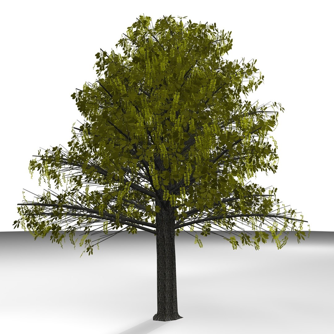 3d Plane Tree Model