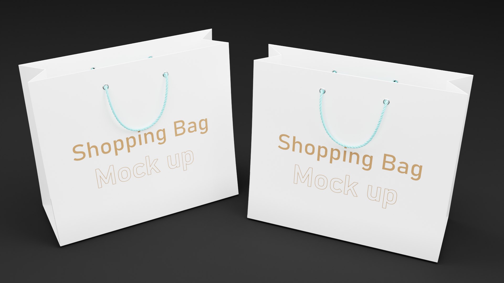 3D Shopping Bag Model - TurboSquid 2218305