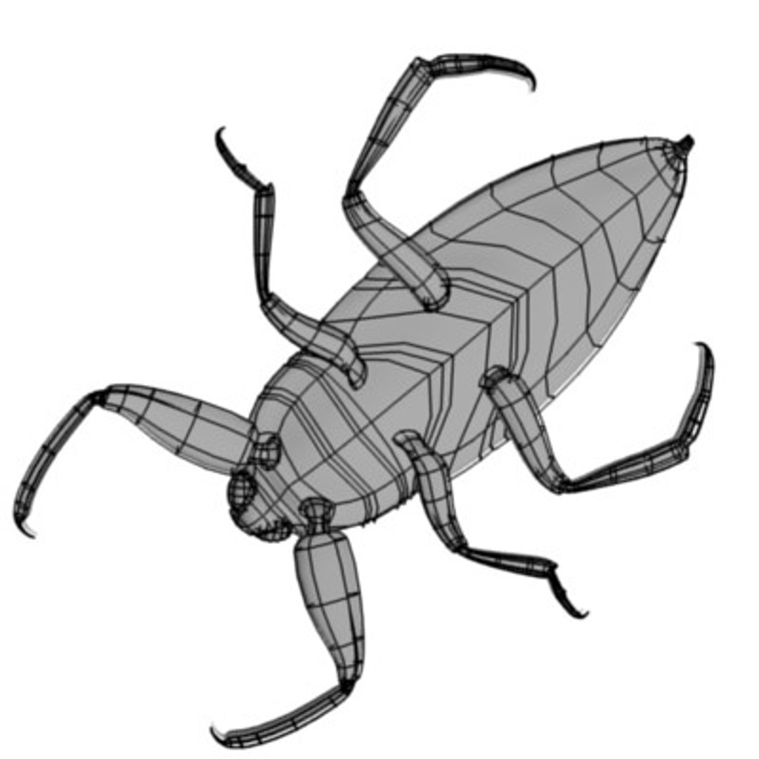 3d Giant Lethocerus Americanus Model