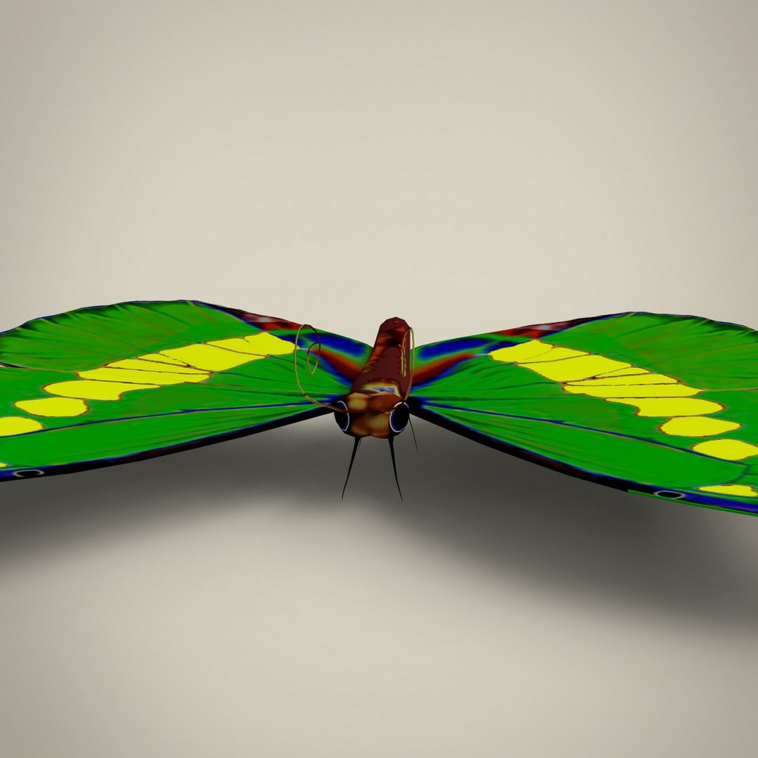 3D Butterfly Model - TurboSquid 2074490