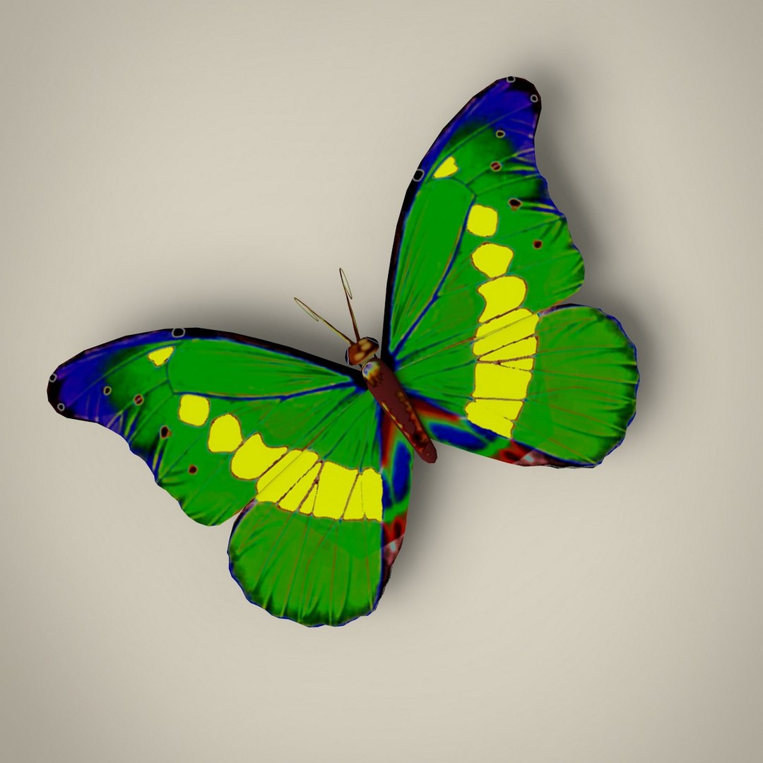 3D Butterfly Model - TurboSquid 2074490