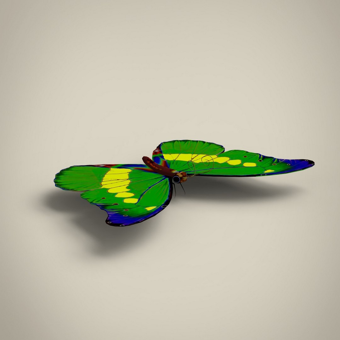 3D Butterfly Model - TurboSquid 2074490