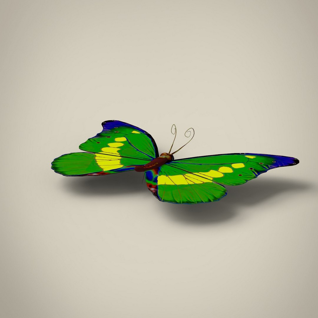 3D Butterfly Model - TurboSquid 2074490