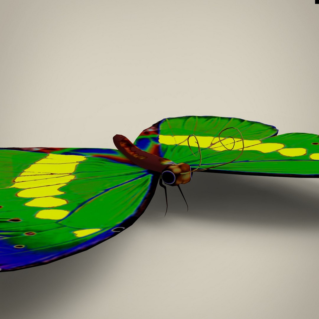 3D Butterfly Model - TurboSquid 2074490