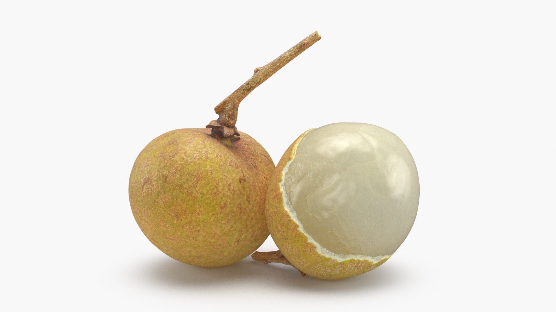 3D Model Longan Fruit - TurboSquid 2130821