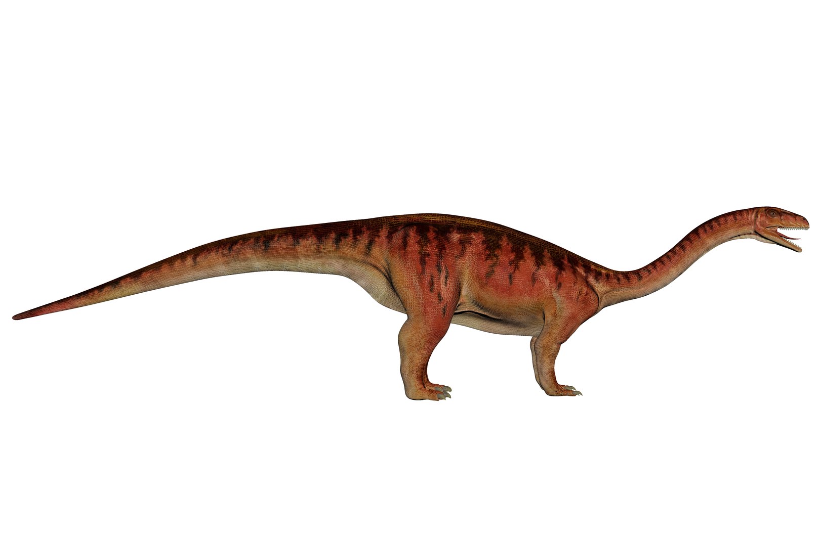 Coloradisaurus Dinosaur Triassic Animal 3D Model - TurboSquid 2333822
