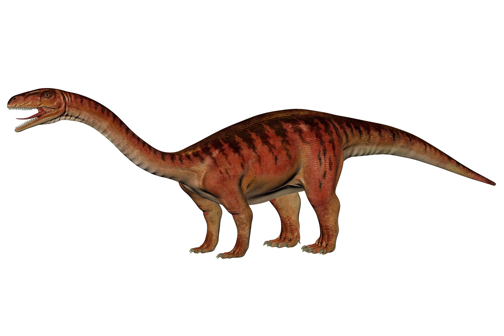 Coloradisaurus Dinosaur Triassic Animal 3D Model - TurboSquid 2333822