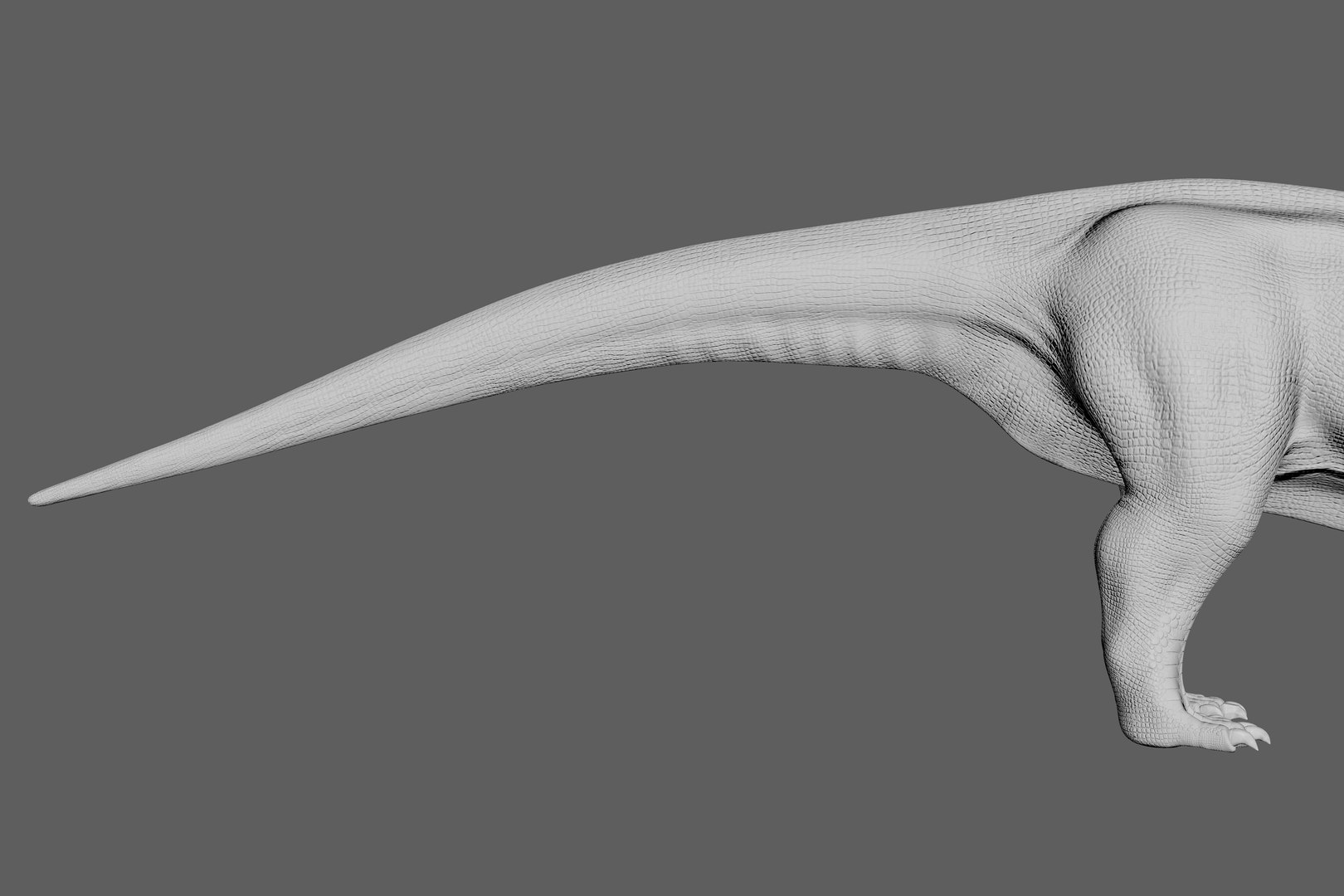 Coloradisaurus Dinosaur Triassic Animal 3D Model - TurboSquid 2333822