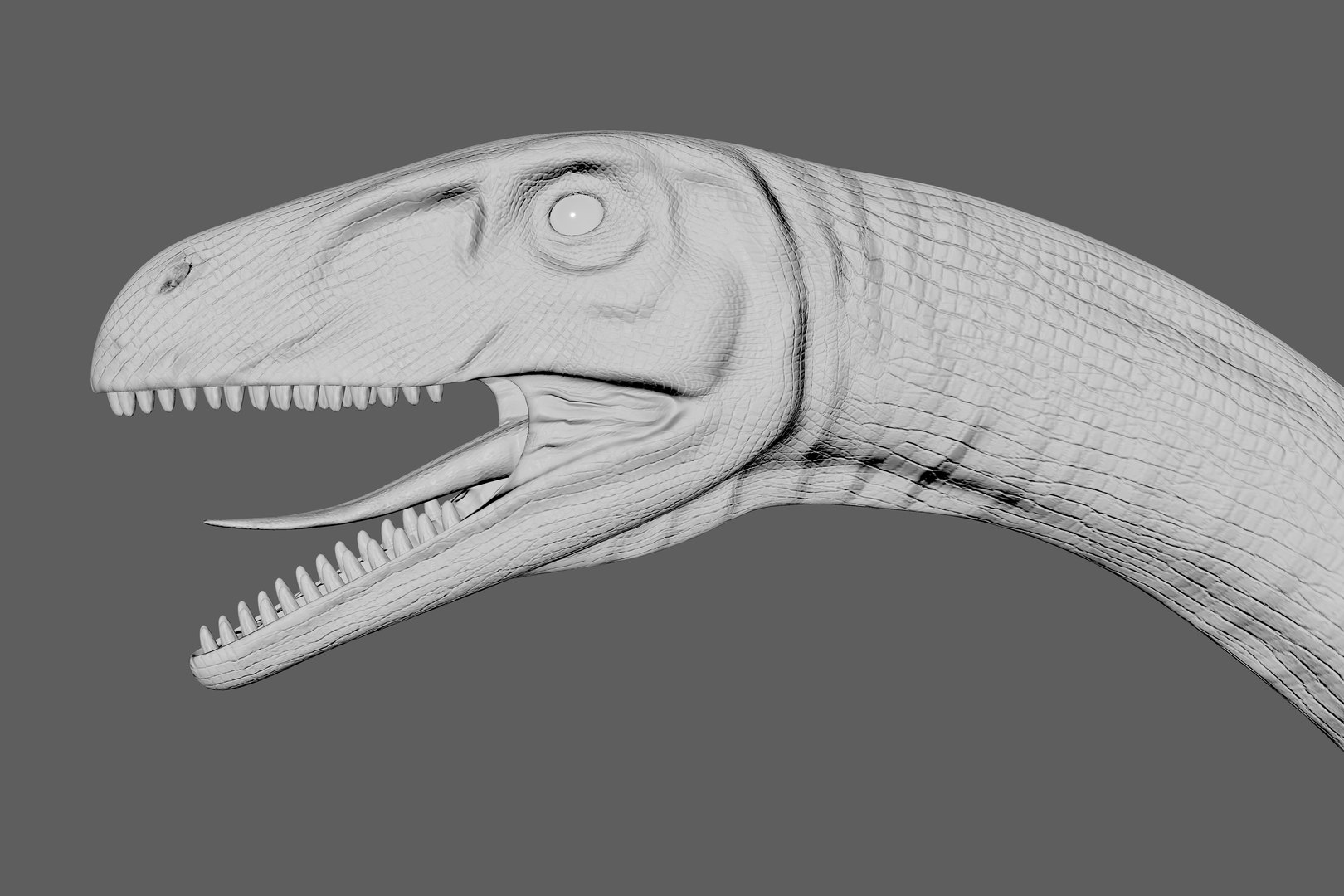 Coloradisaurus Dinosaur Triassic Animal 3D Model - TurboSquid 2333822