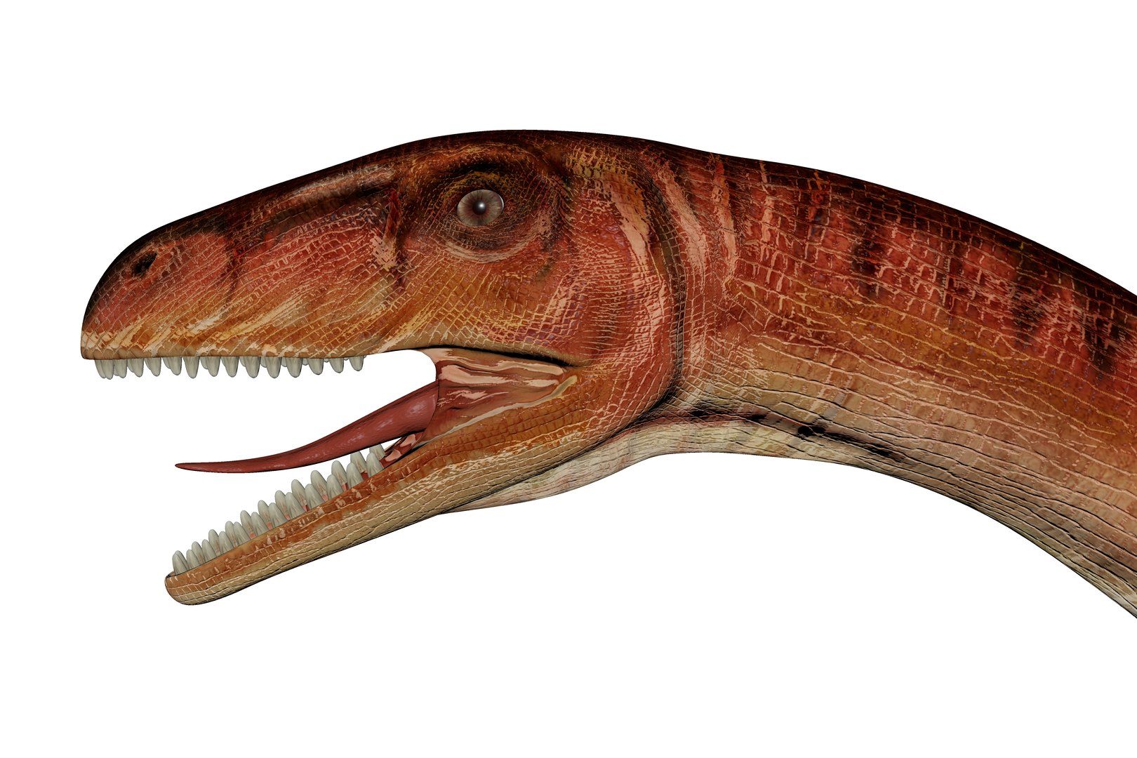 Coloradisaurus Dinosaur Triassic Animal 3D Model - TurboSquid 2333822