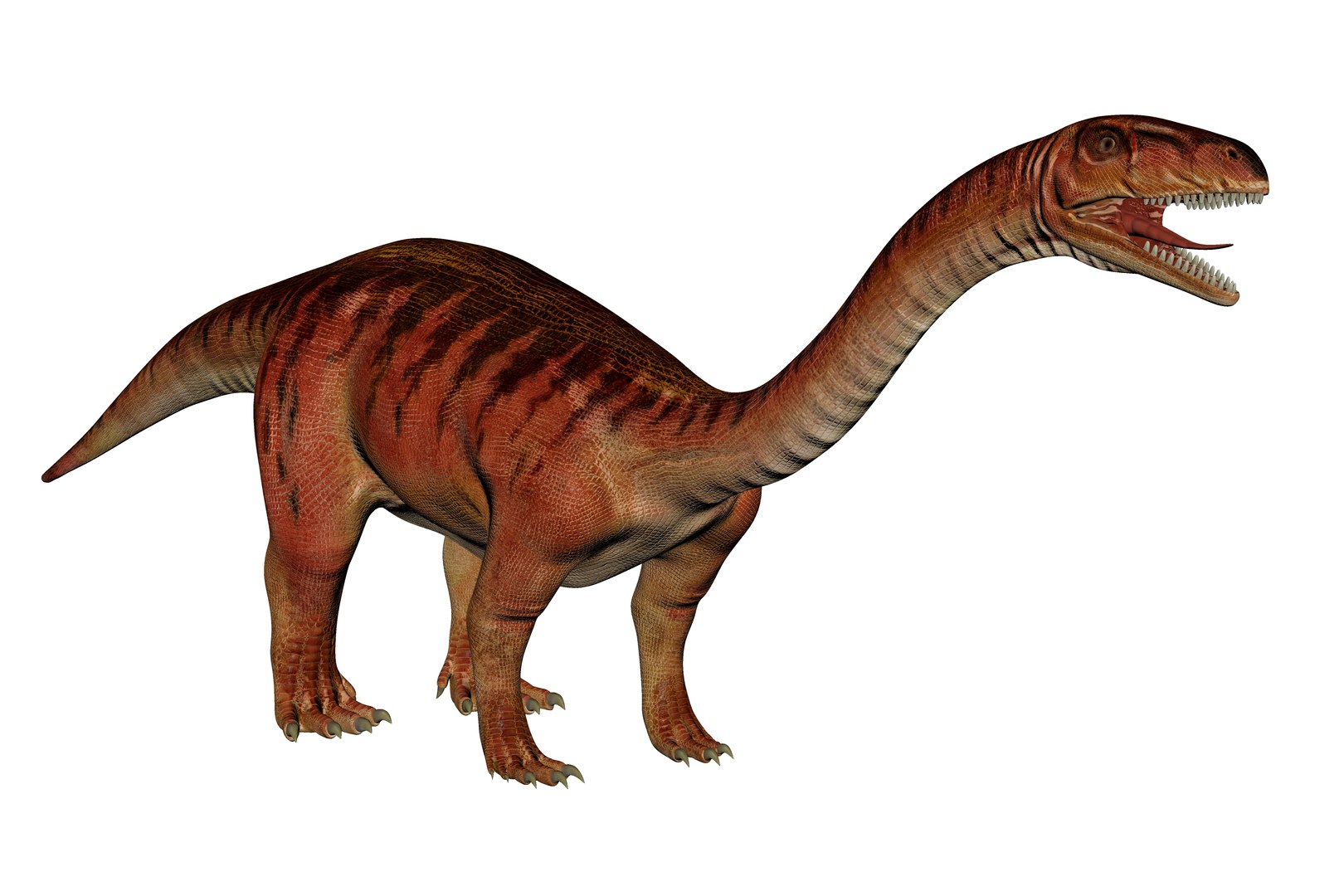Coloradisaurus Dinosaur Triassic Animal 3D Model - TurboSquid 2333822