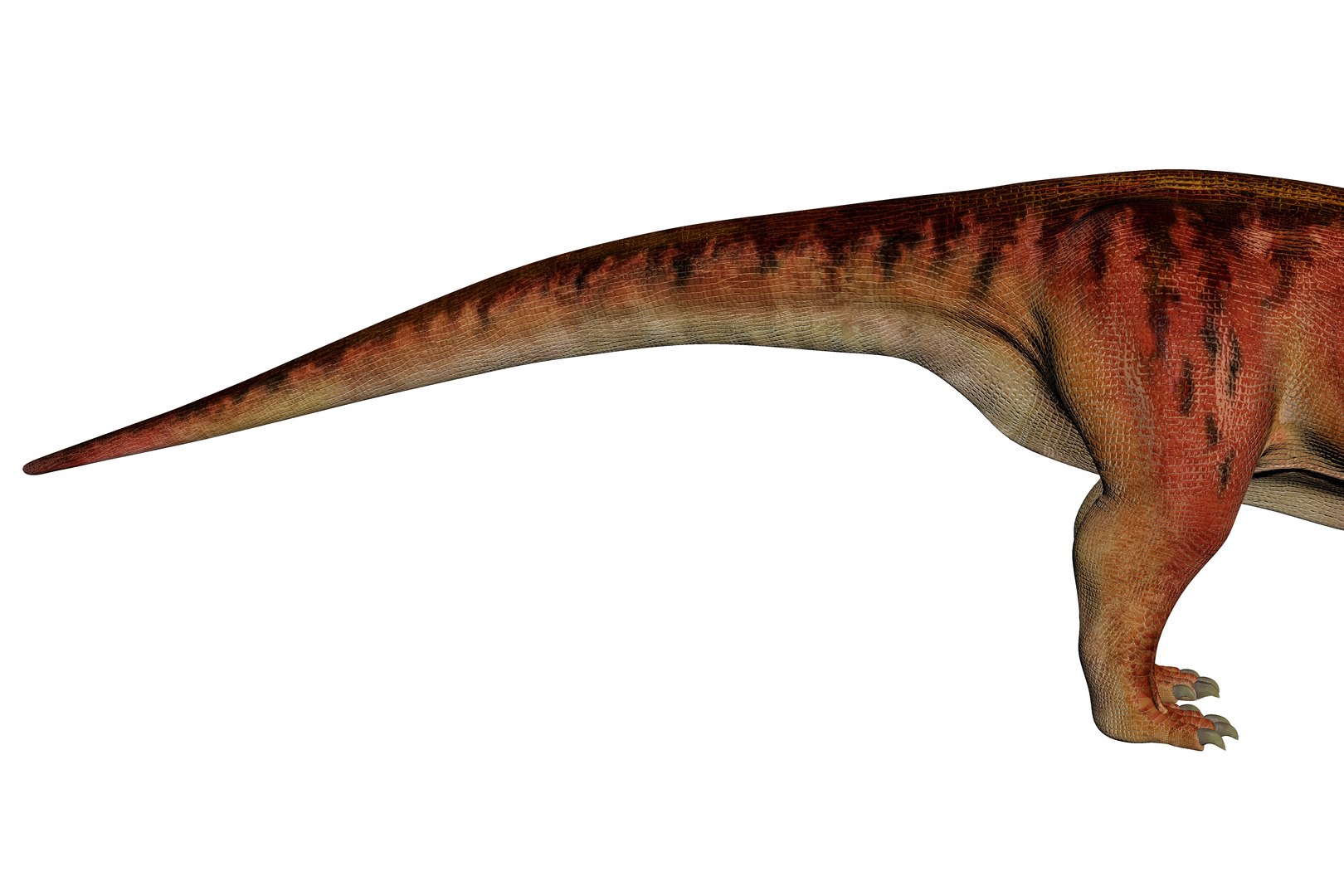 Coloradisaurus Dinosaur Triassic Animal 3D Model - TurboSquid 2333822