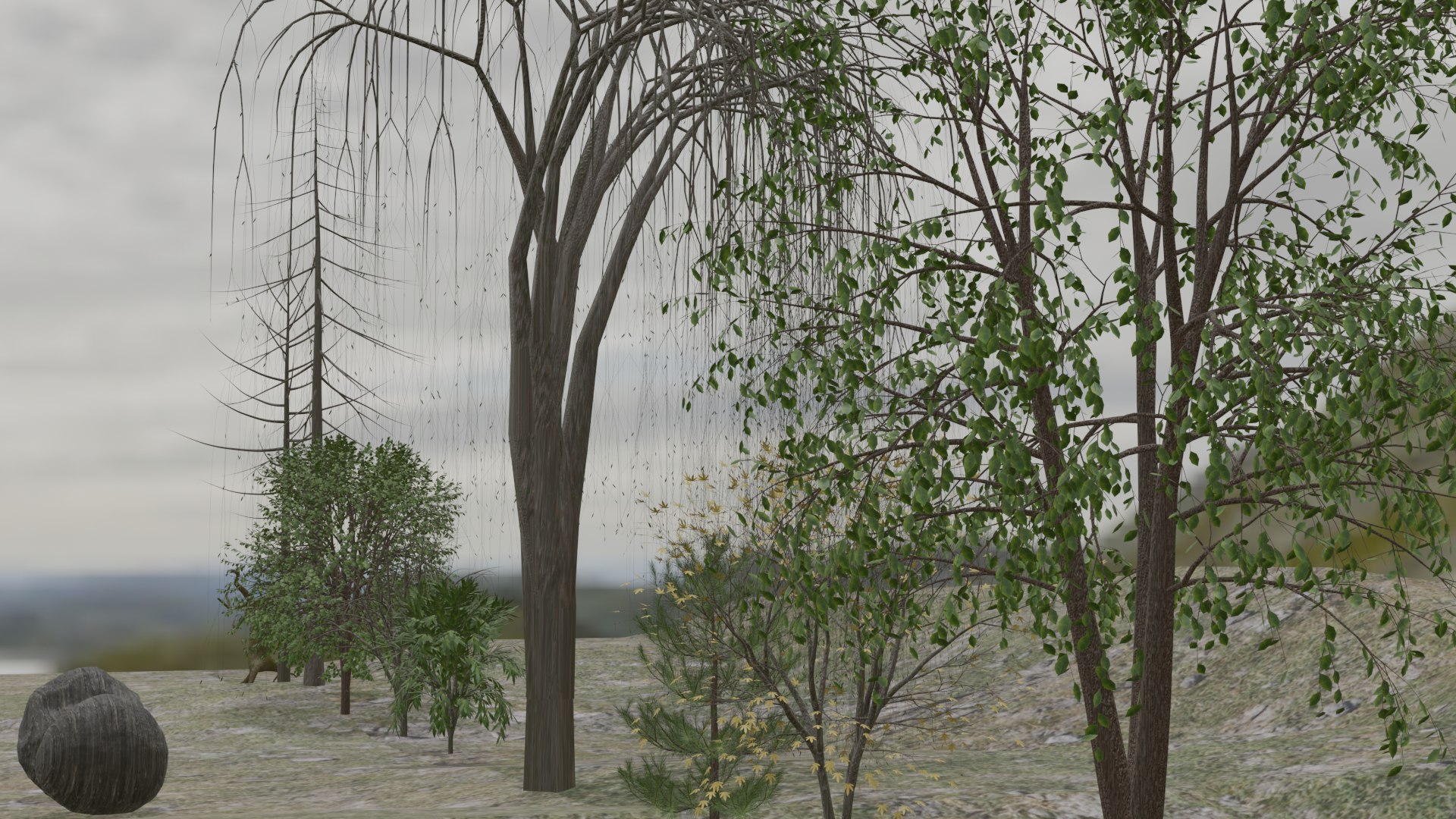 3D Tree Collection - TurboSquid 1956426