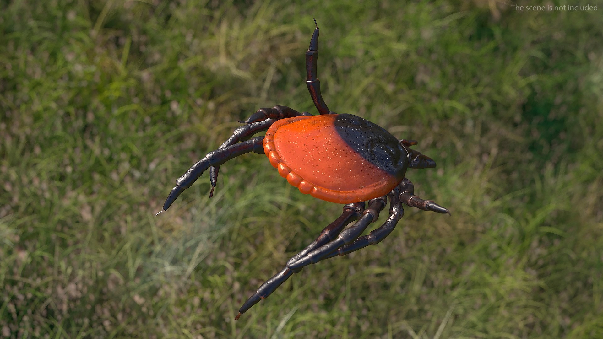 3D Model Parasites Rigged Collection For Maya - TurboSquid 2513057