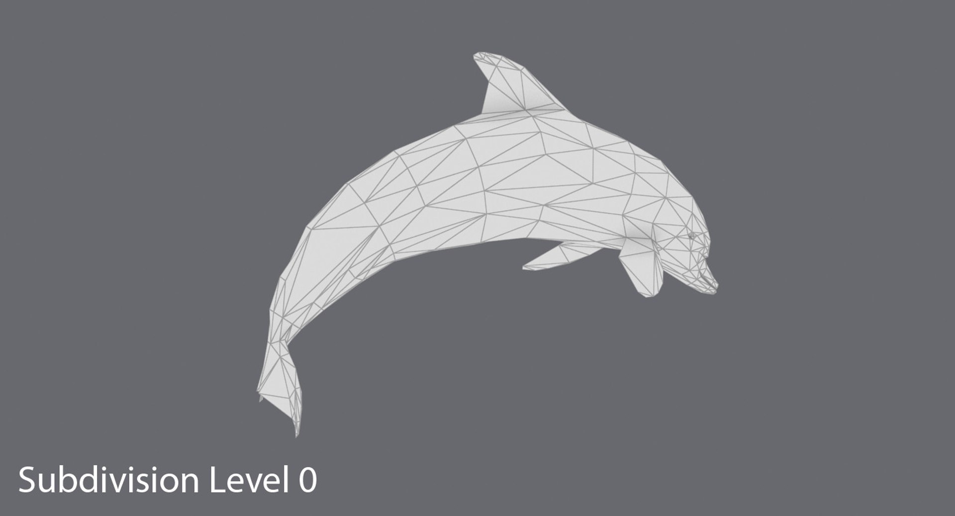 Dolphin---jumping 3D Model - TurboSquid 1237951