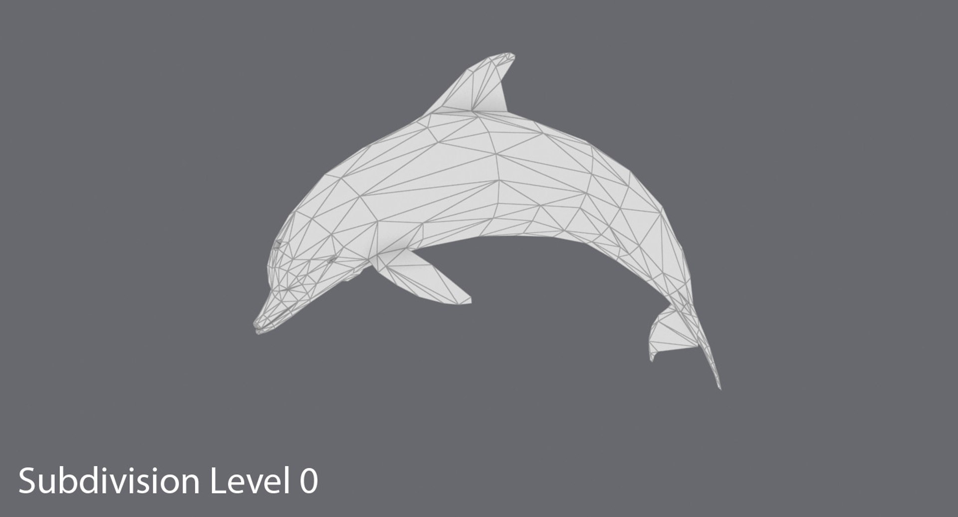 Dolphin---jumping 3D Model - TurboSquid 1237951