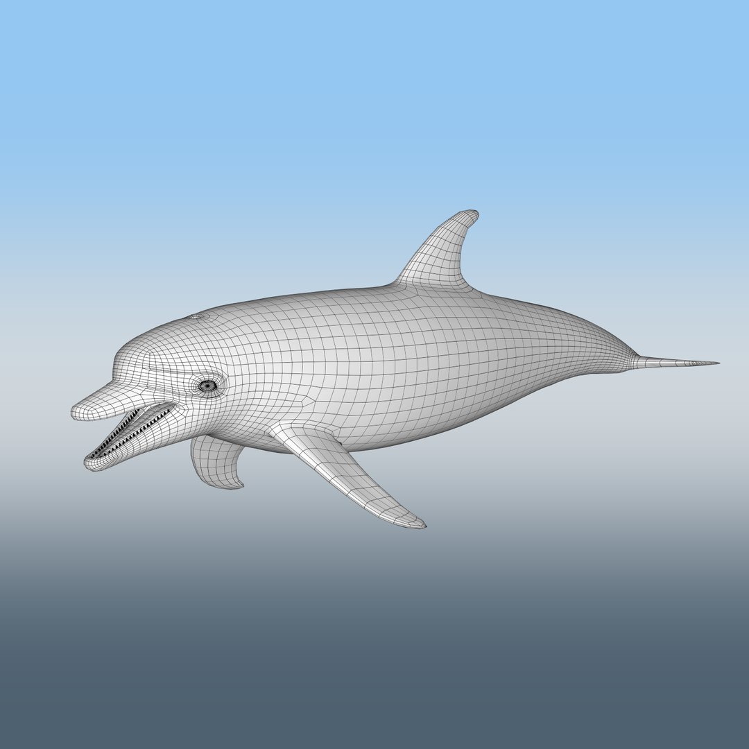 3D Model Bottlenose Dolphin - TurboSquid 1656770