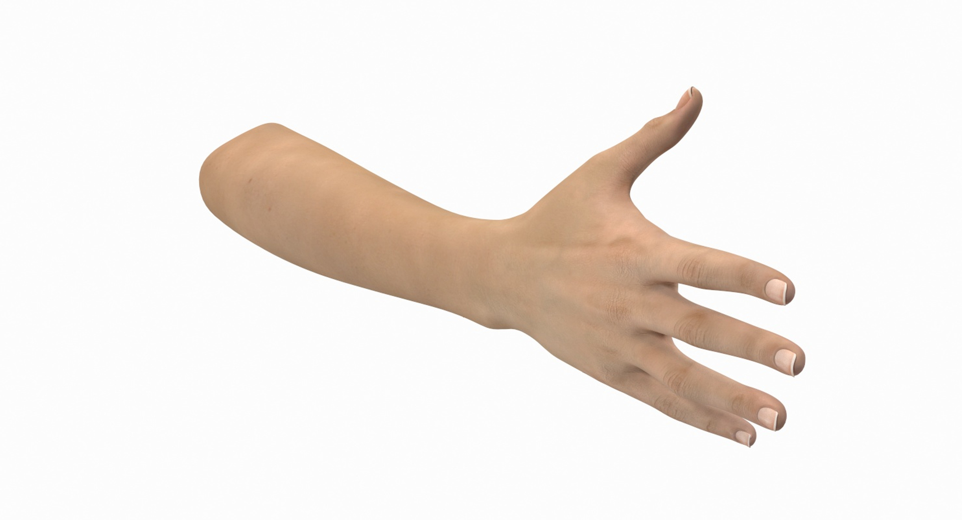 Caucasian Female Hand Short 3D Model - TurboSquid 1403030
