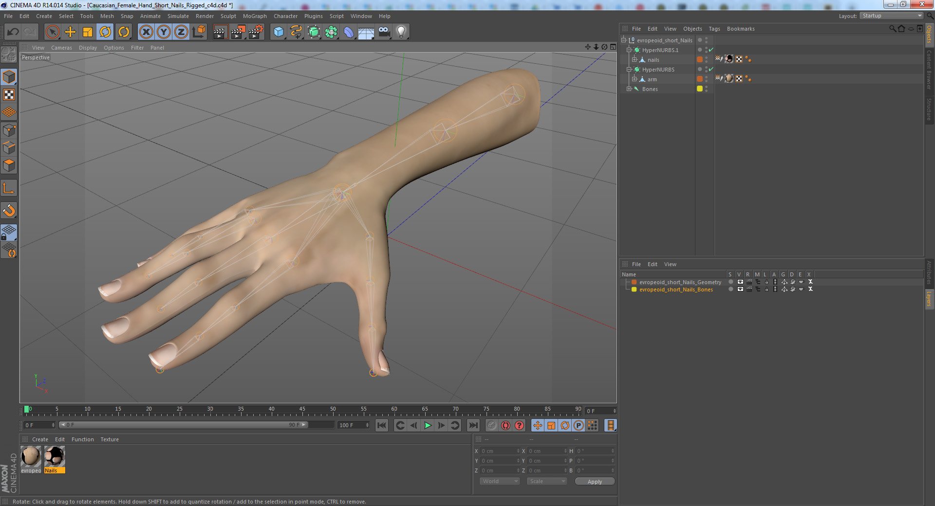 Caucasian female hand short 3D model - TurboSquid 1403030