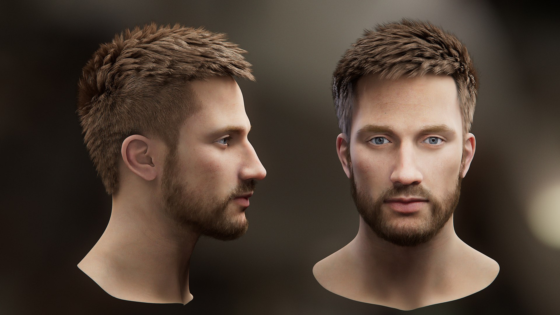 10 Hair Card Hairstyles model - TurboSquid 2067232