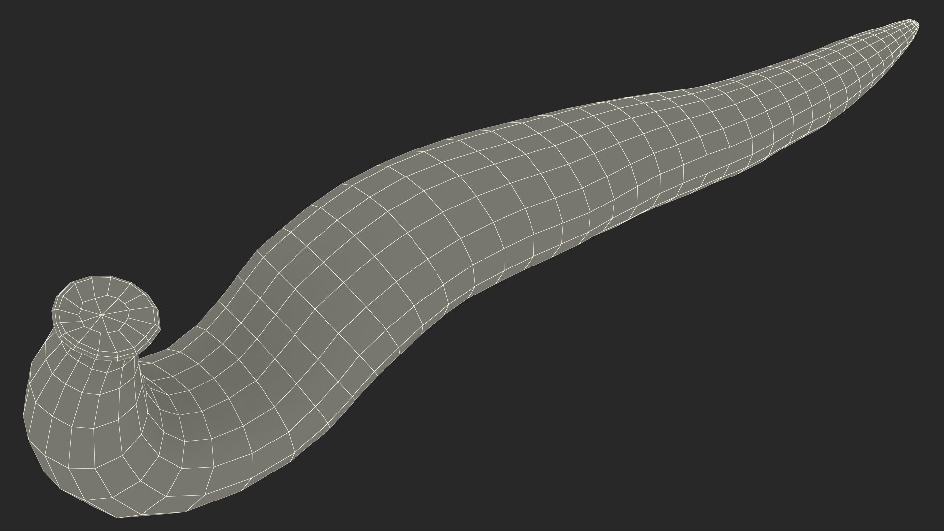 European Medicinal Leech Crawling Model - TurboSquid 2087467