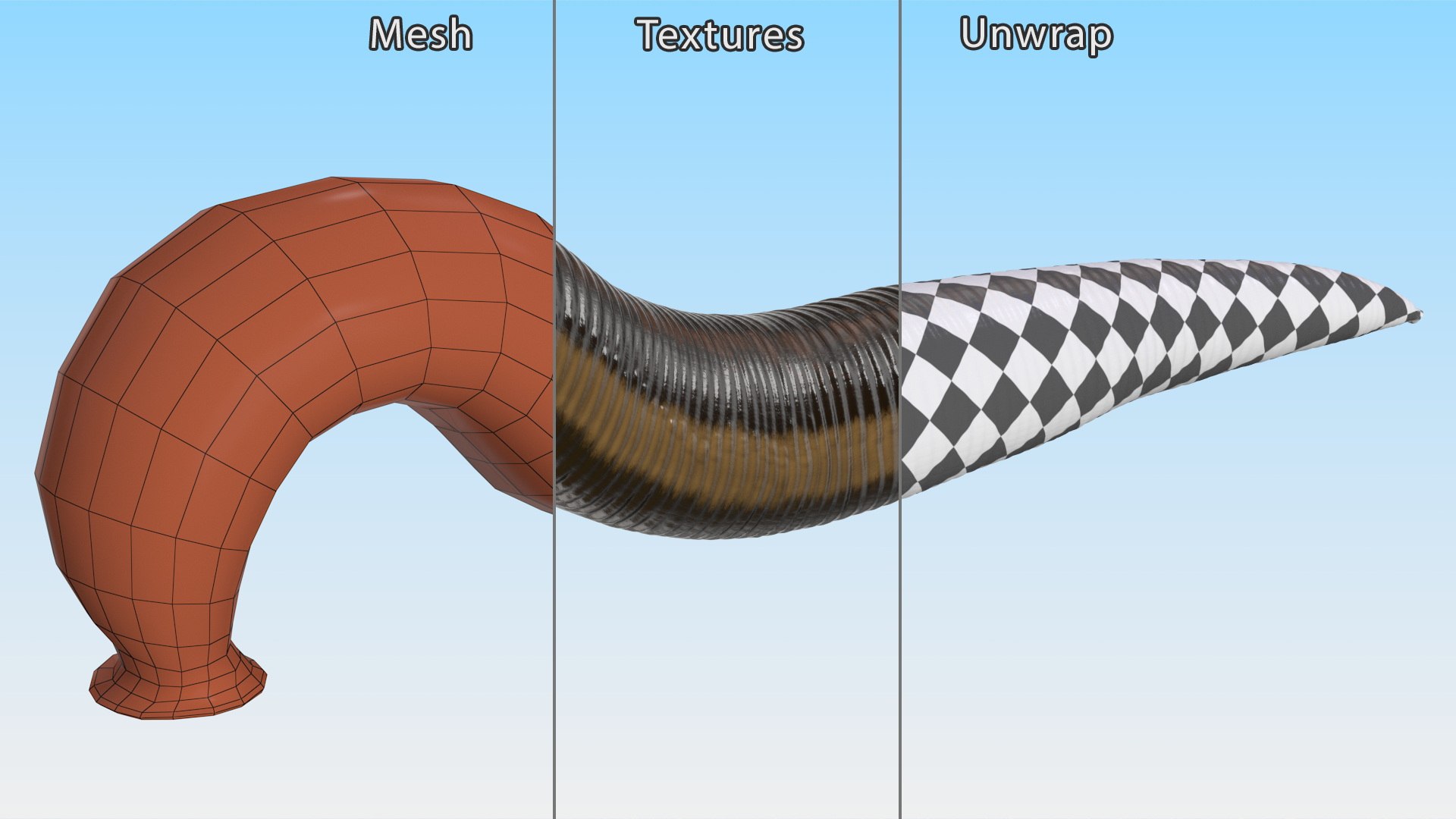 European Medicinal Leech Crawling Model - TurboSquid 2087467