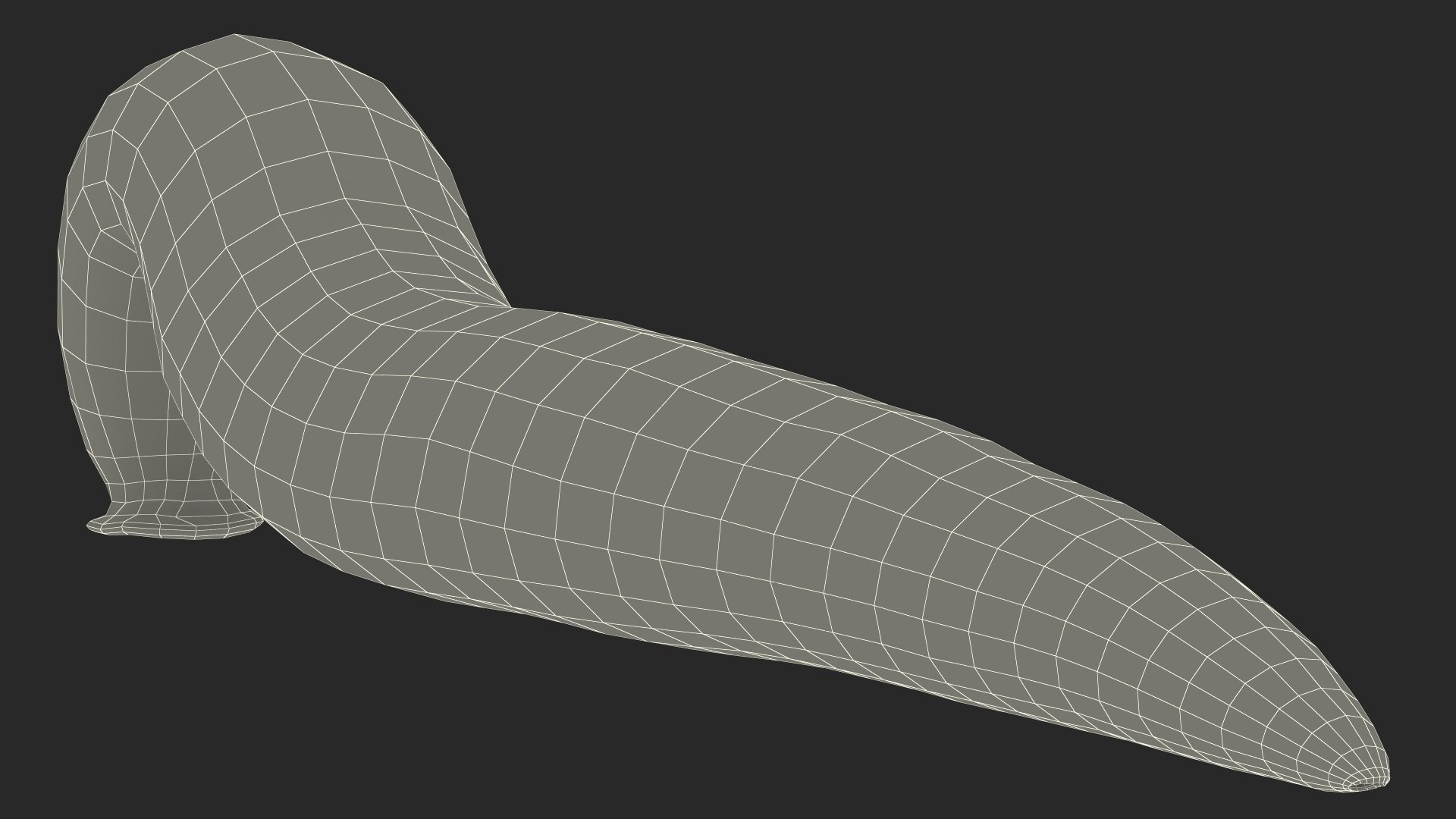 European Medicinal Leech Crawling Model - TurboSquid 2087467