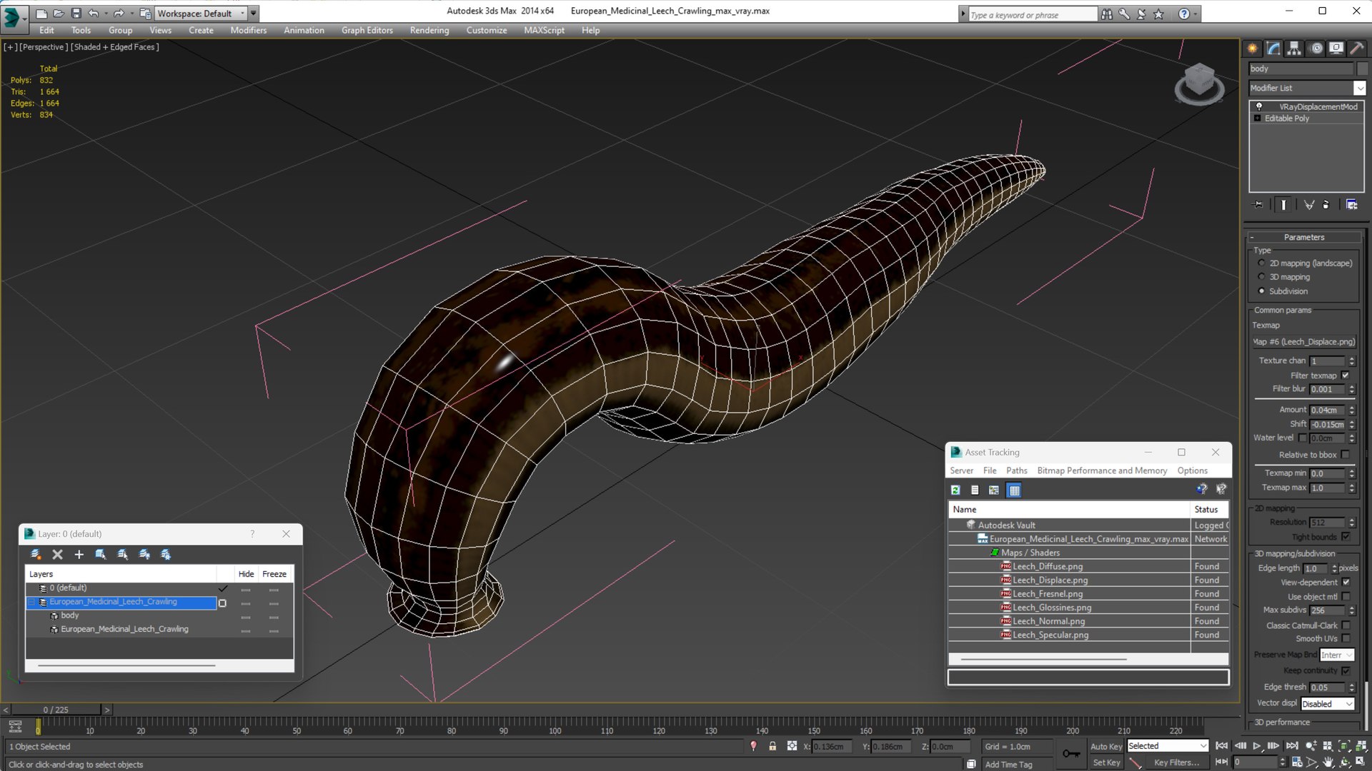 European Medicinal Leech Crawling Model - TurboSquid 2087467