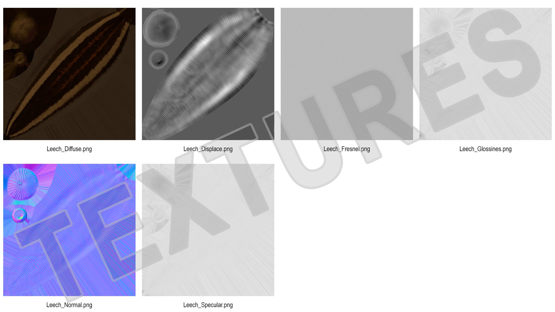 European Medicinal Leech Crawling Model - TurboSquid 2087467