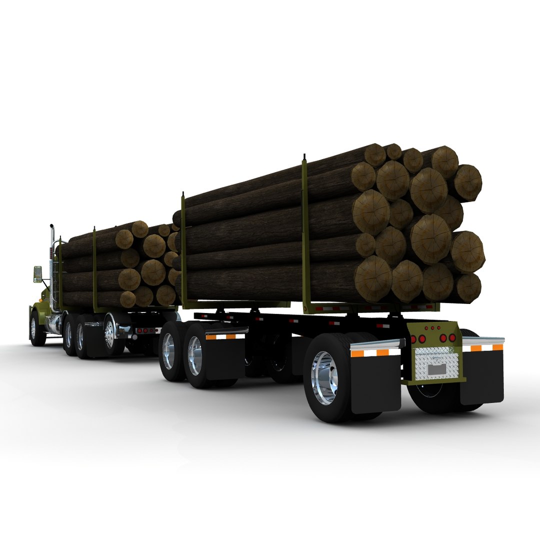 3d t800 logger model