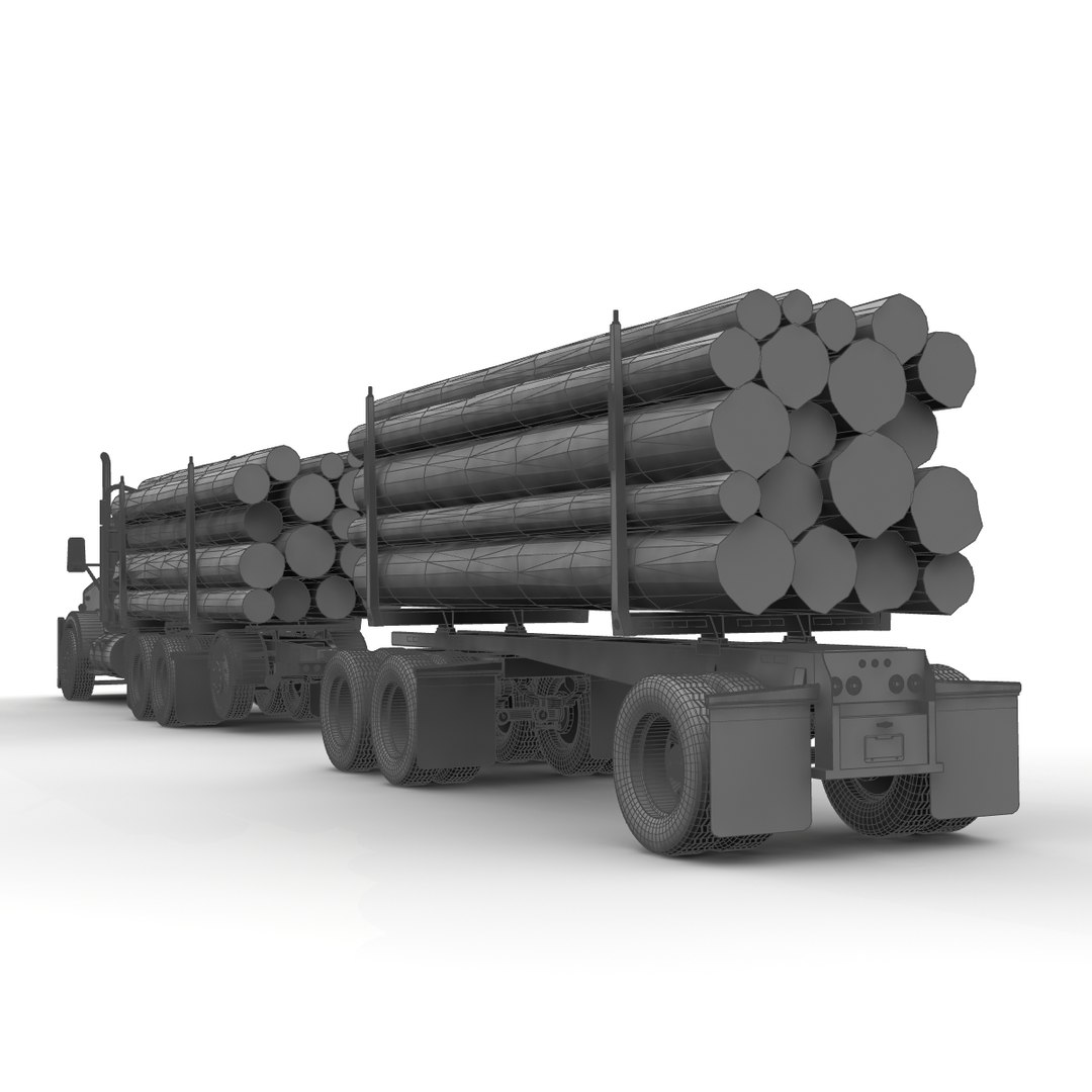 3d t800 logger model
