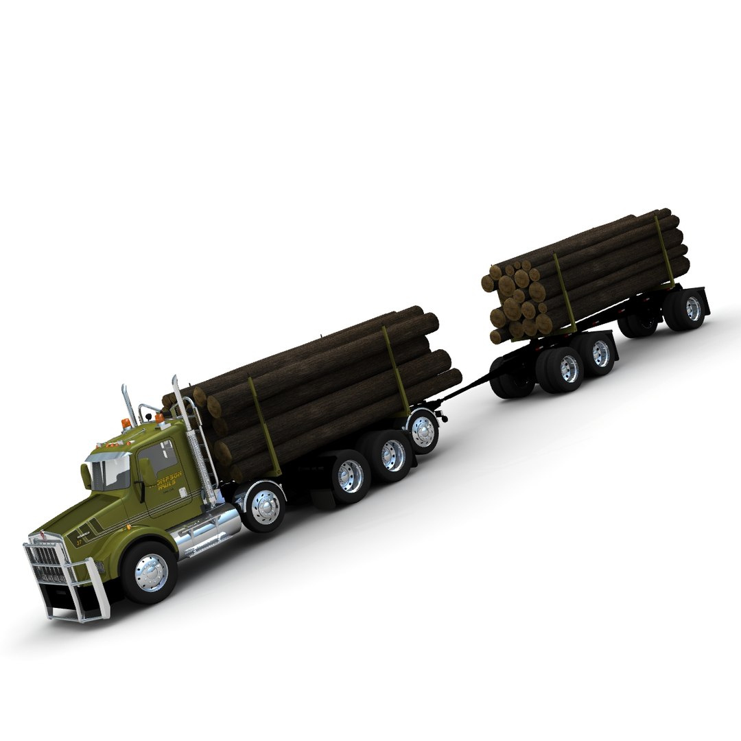 3d t800 logger model