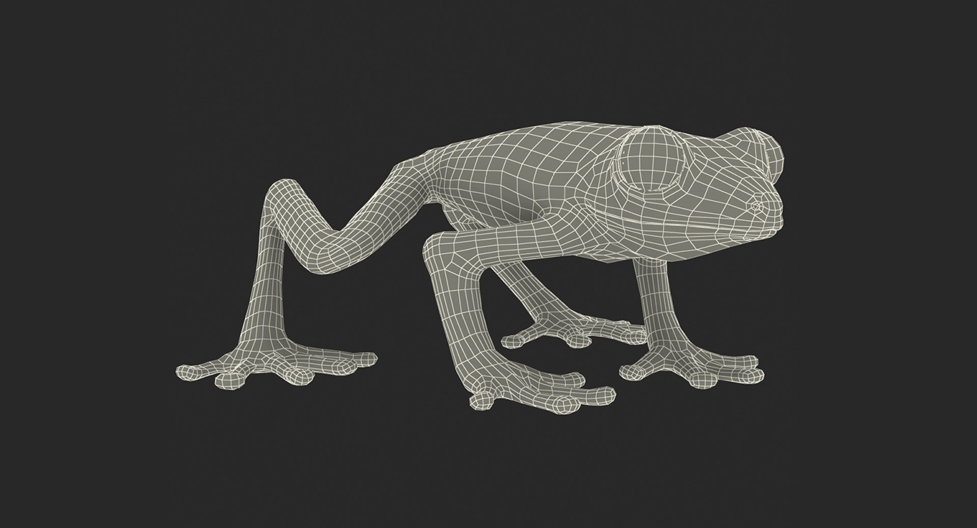 Frogs 2 3D - TurboSquid 1231170