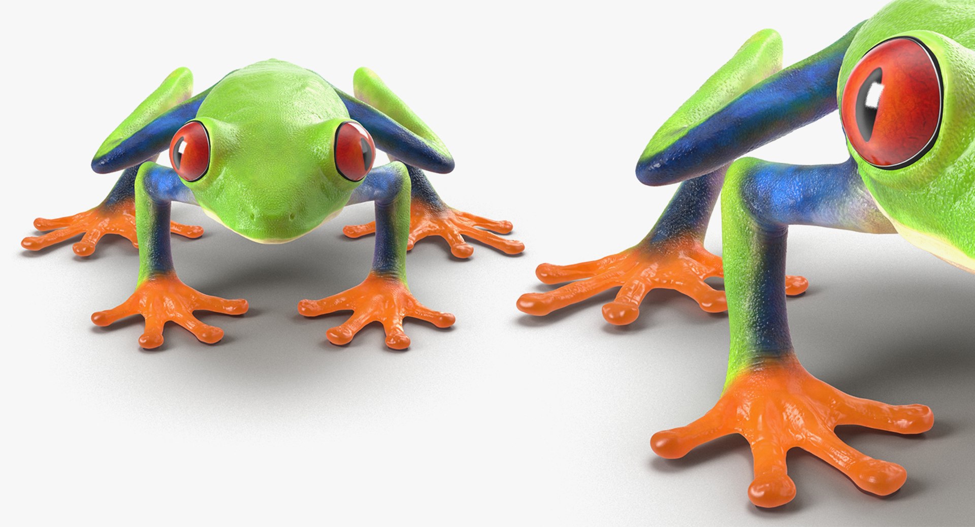 Frogs 2 3D - TurboSquid 1231170