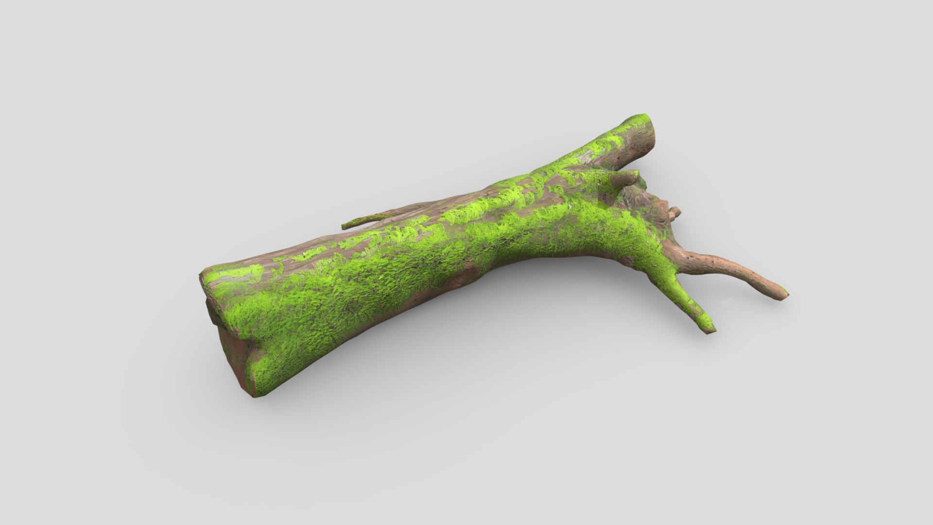3D Fallen Tree 2 - TurboSquid 2248718