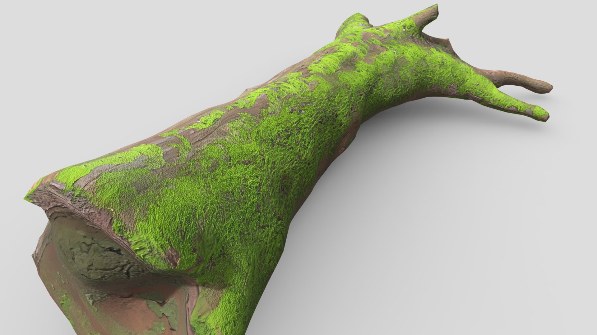 3D Fallen Tree 2 - TurboSquid 2248718