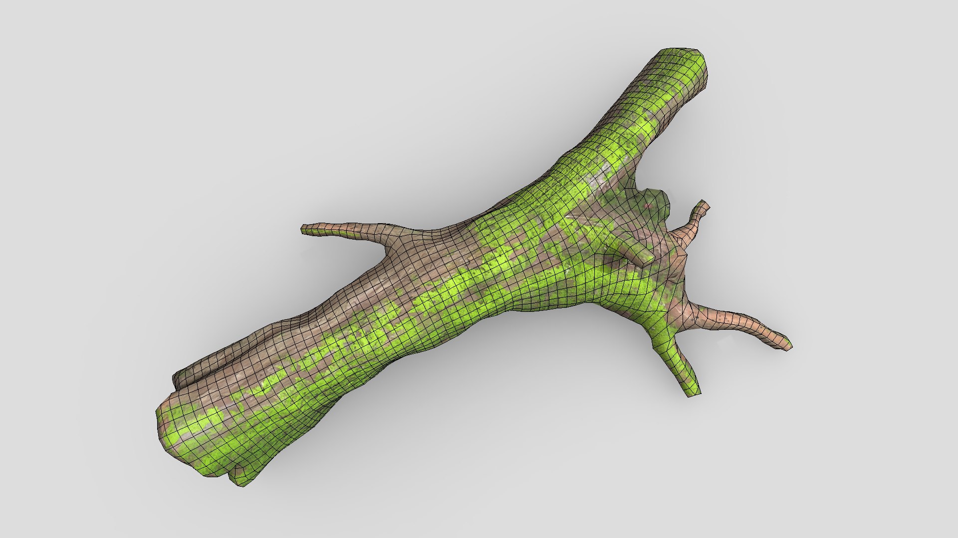 3D Fallen Tree 2 - TurboSquid 2248718