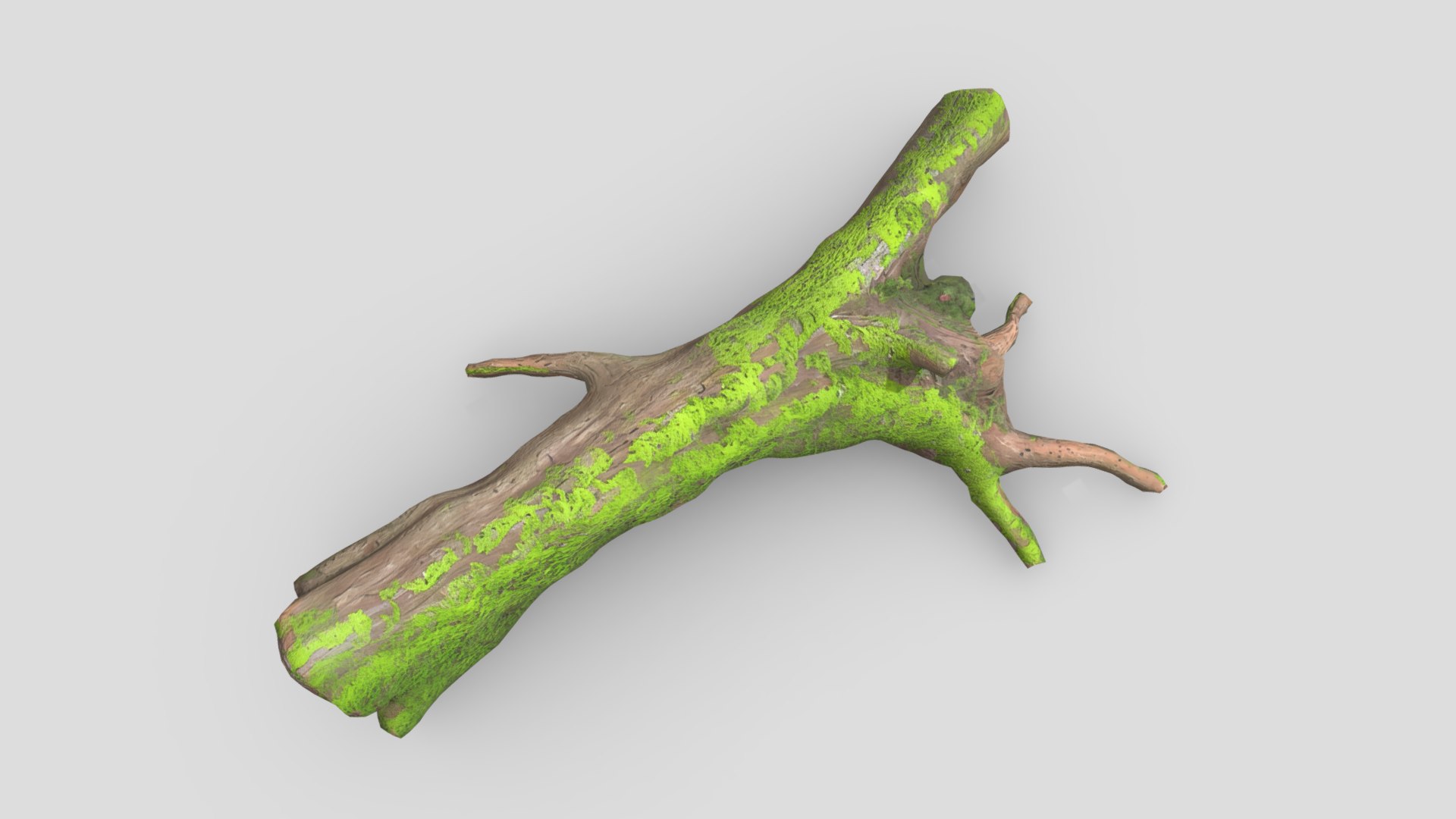 3D Fallen Tree 2 - TurboSquid 2248718