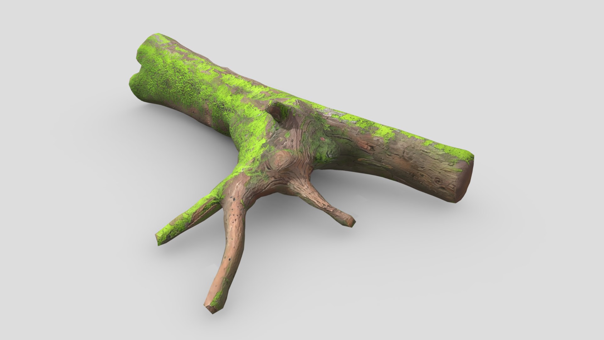3D Fallen Tree 2 - TurboSquid 2248718